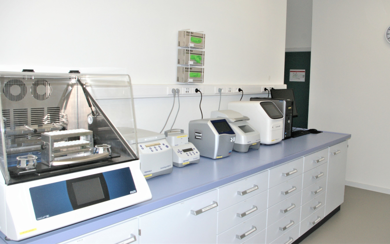 MOLECULAR DIAGNOSTICS LABORATORY SET TO BE ESTABLISHED IN UNIZIK ...