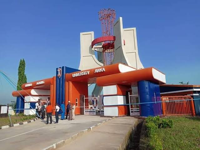 UNIZIK ranks among top 2% world scientists as compiled by Stanford ...